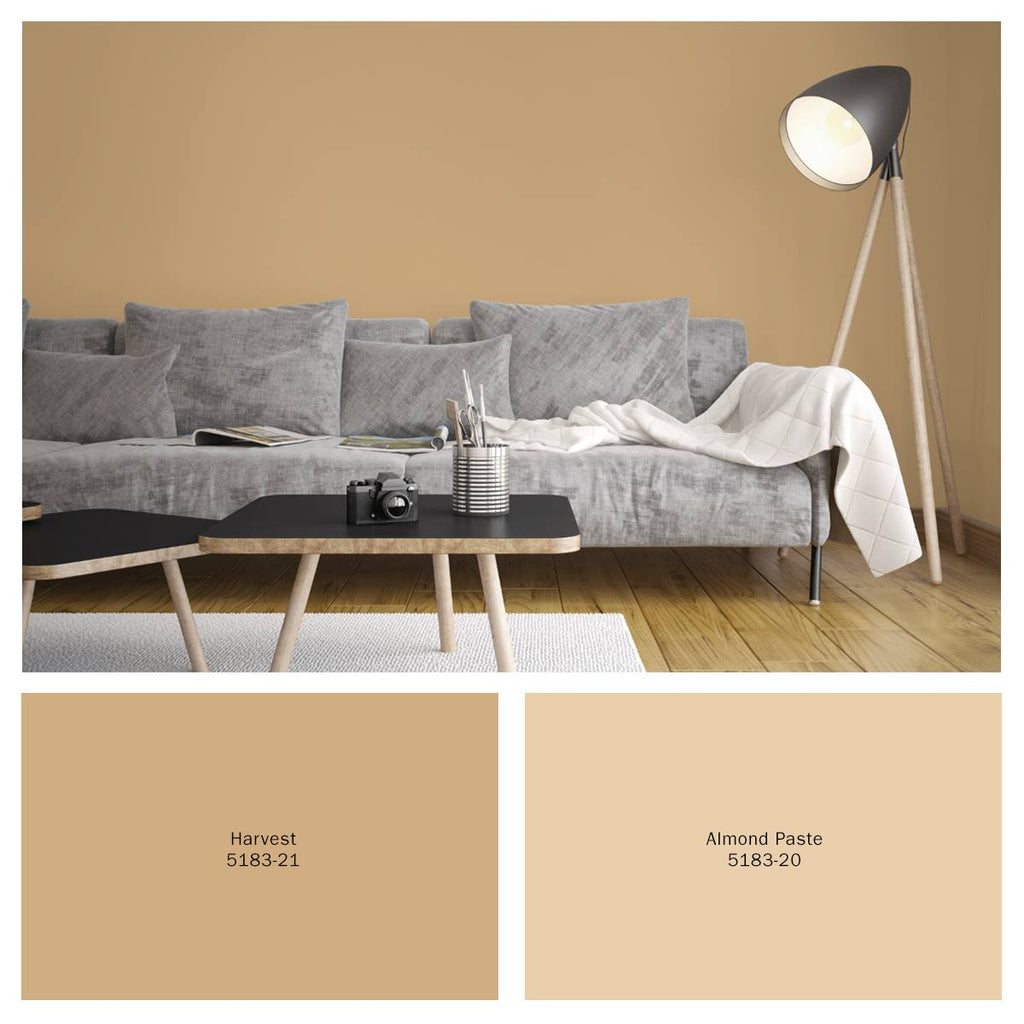 Boomerang Recycled Paint Almond Paste – Kingston Paint & Decorating Inc.